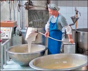 How sunflower halva is made in factories in Russia