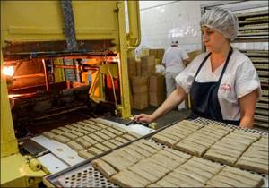 How sunflower halva is made in factories in Russia